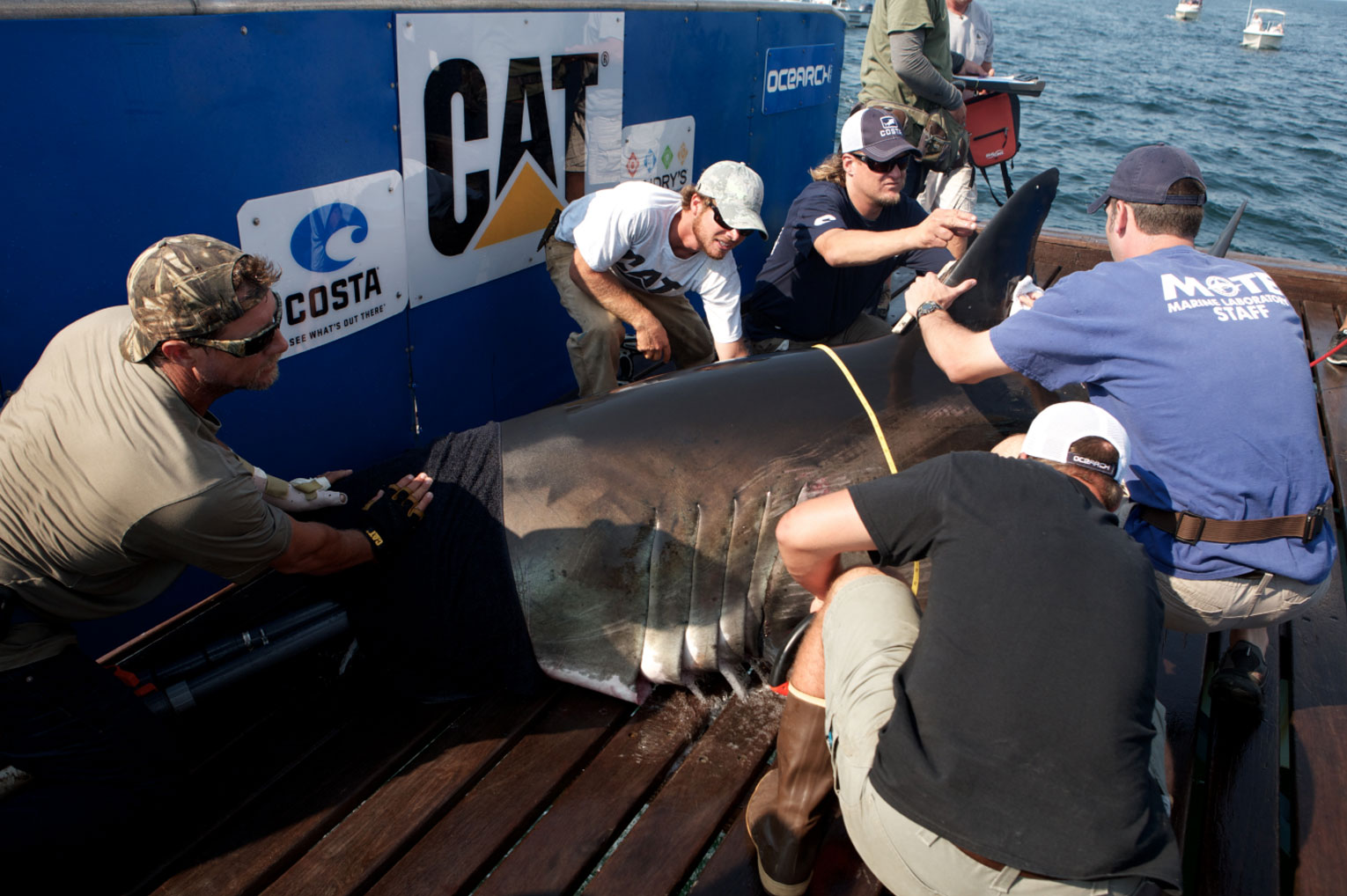Science - Ocearch